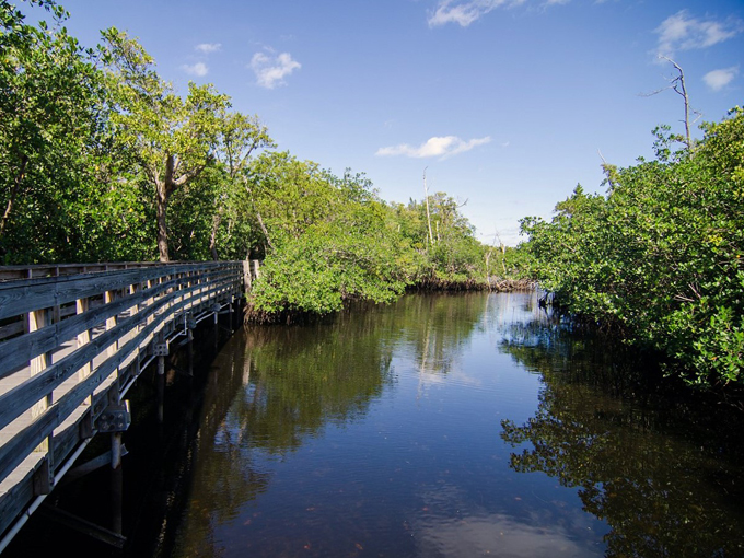 Wilton Manors Canals (Wilton Manors)
