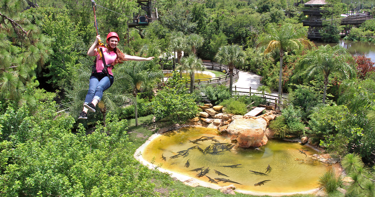alligator zip line florida ftr