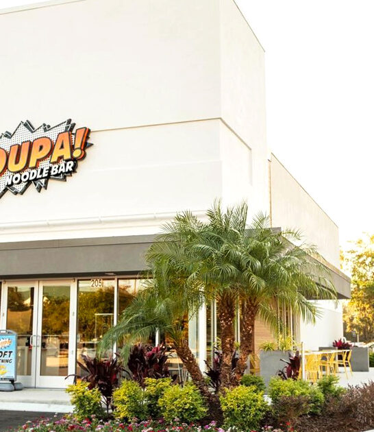 anime noodle bar florida ftr