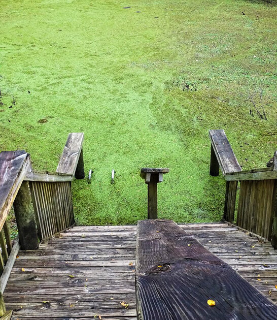 bewildering sinkhole florida ftr