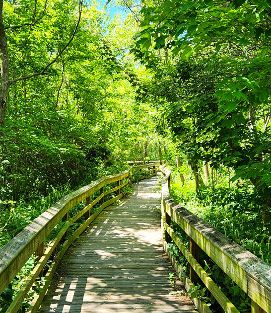 boardwalk hidden lake florida ftr
