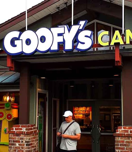 disney candy shop florida ftr