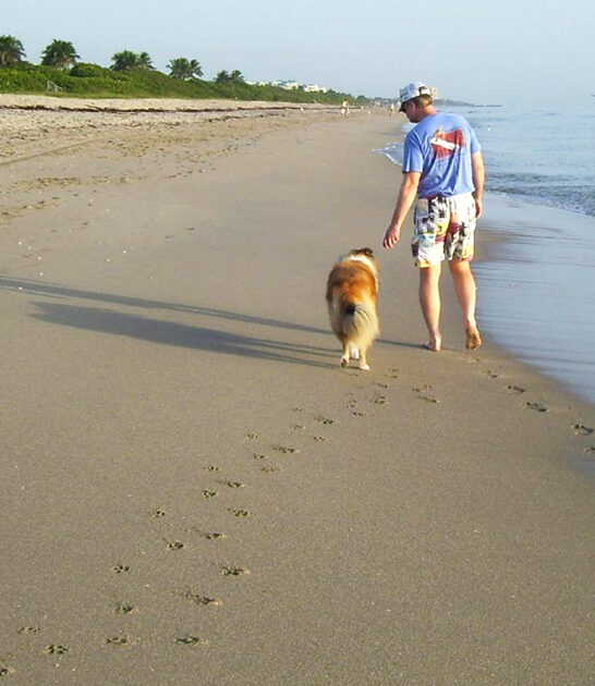dog friendly beach florida ftr