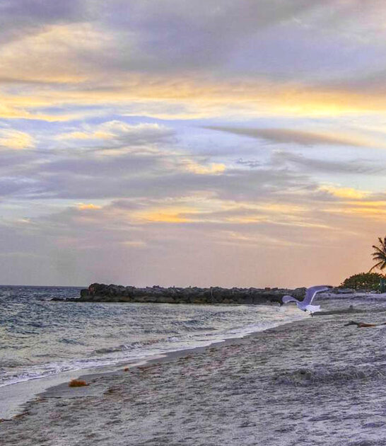 dreamiest village florida ftr