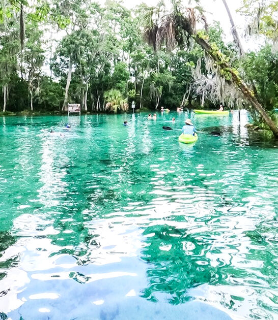 dreamy waterways kayak florida ftr