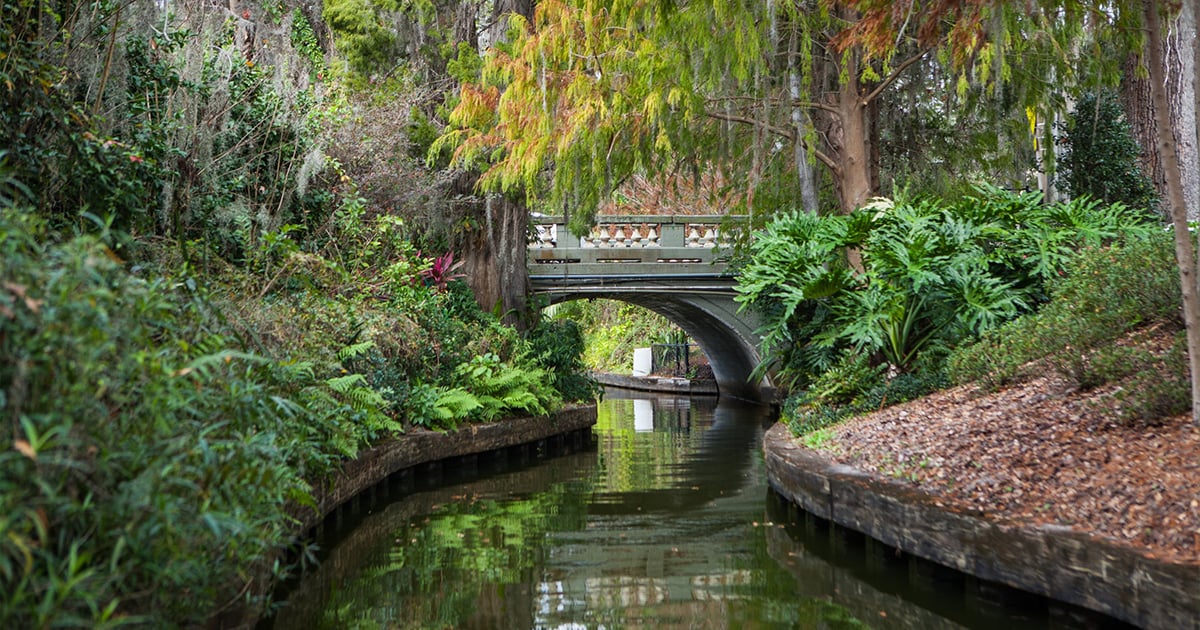 enchanting canals florida ftr