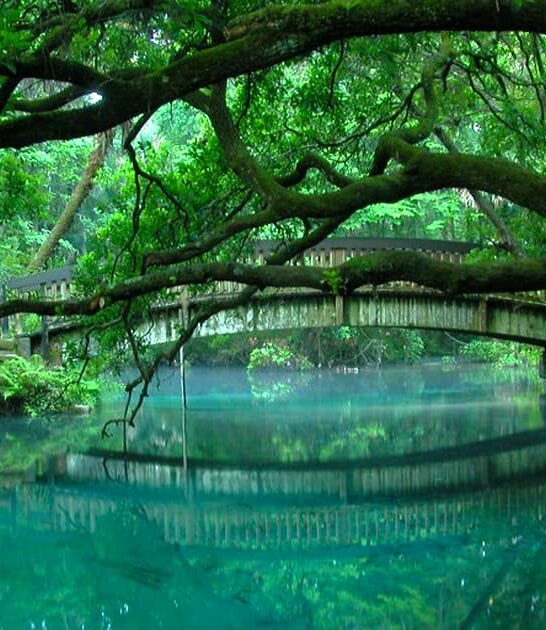 enchanting fairytale springs florida ftr