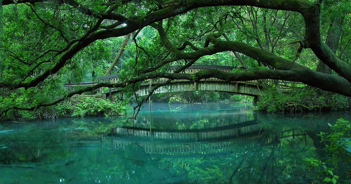 enchanting fairytale springs florida ftr