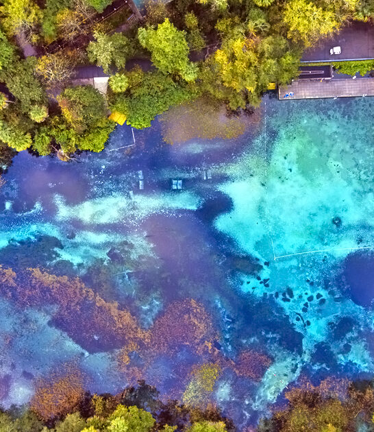 enchanting florida state park ftr