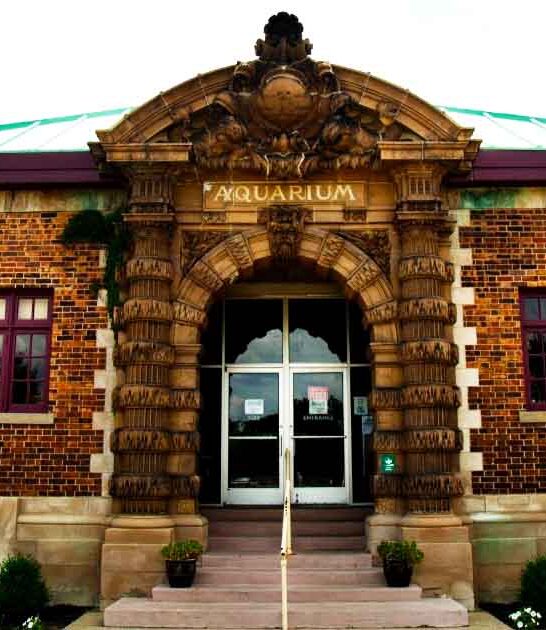 enchanting historic aquarium michigan ftr