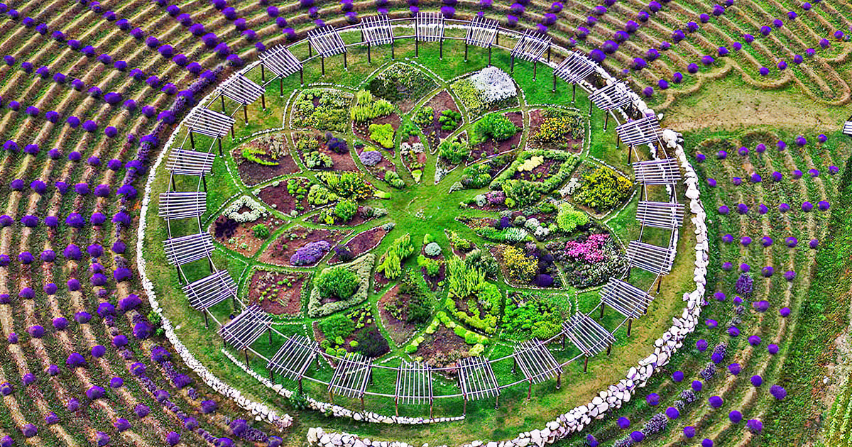enchanting lavender labyrinth michigan ftr