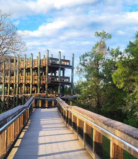 enchanting overlook trail florida ftr