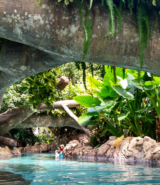 enchanting rocky lagoons florida ftr