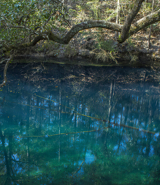 enchanting sinkhole florida ftr