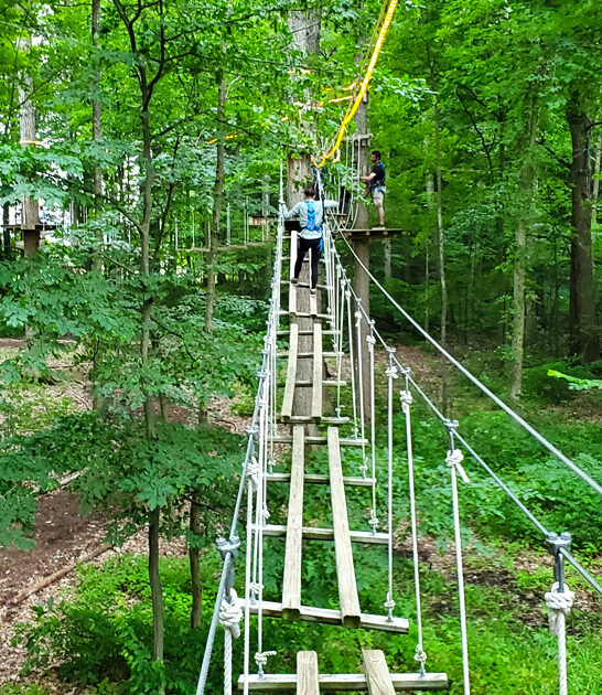 exhilarating treetop adventure michigan ftr