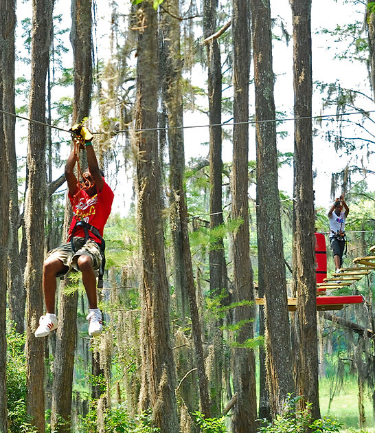 extraordinary outdoor museum florida ftr