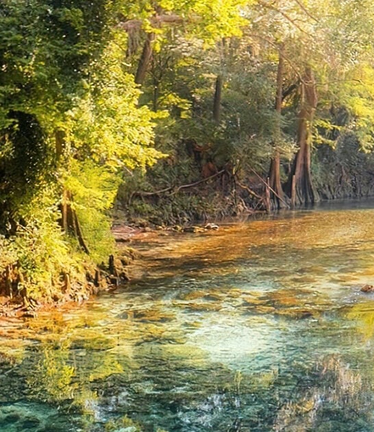 fairy tale springs florida ftr