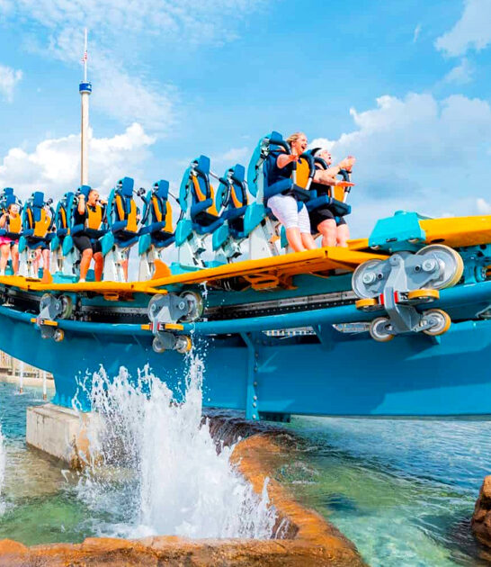 fastest wildest coaster florida ftr