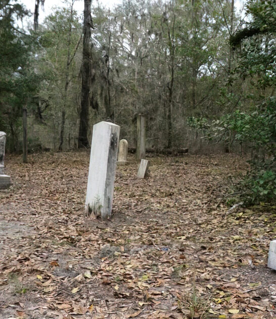 forest creepy cemetery florida ftr