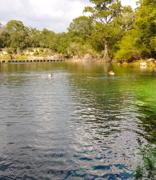 furry friend canoeing florida ftr