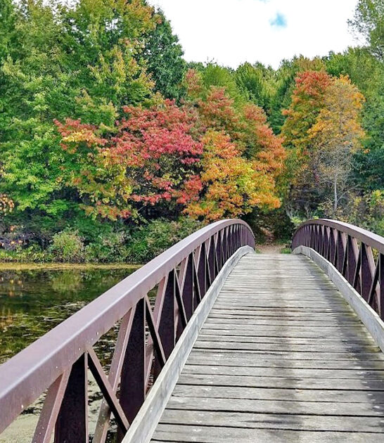 gorgeous state park michigan ftr