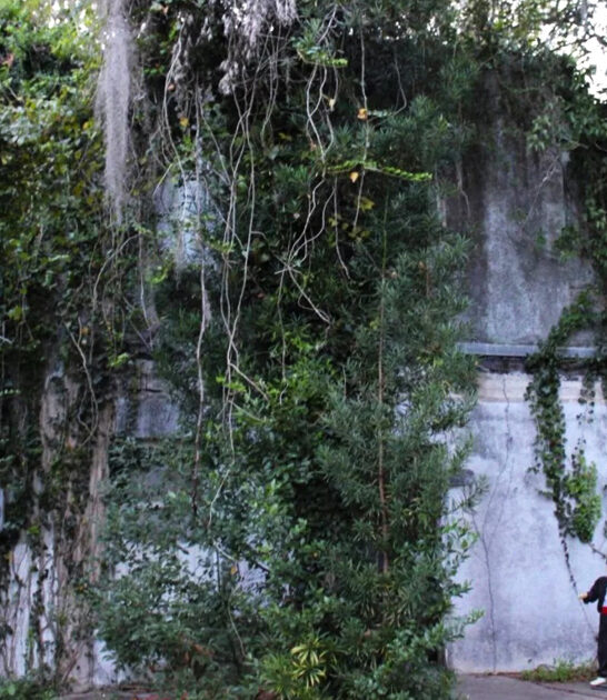 haunted abandoned jail florida ftr