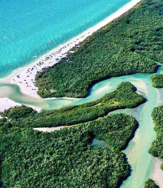 hidden mangrove islands florida ftr