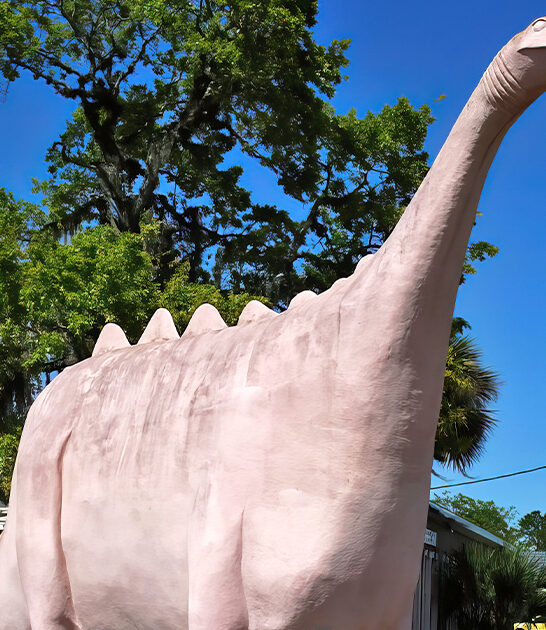 hidden pink dinosaur florida ftr
