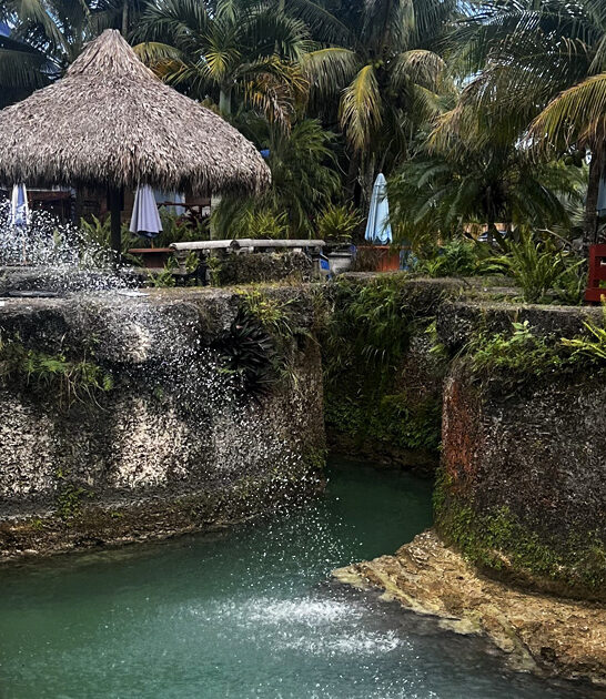 lagoon mermaids florida ftr