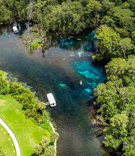 largest artesian spring florida ftr