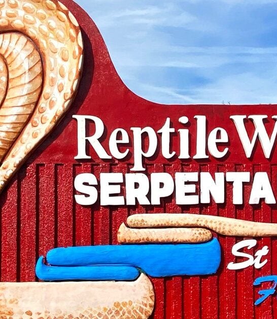 live venom milking florida ftr