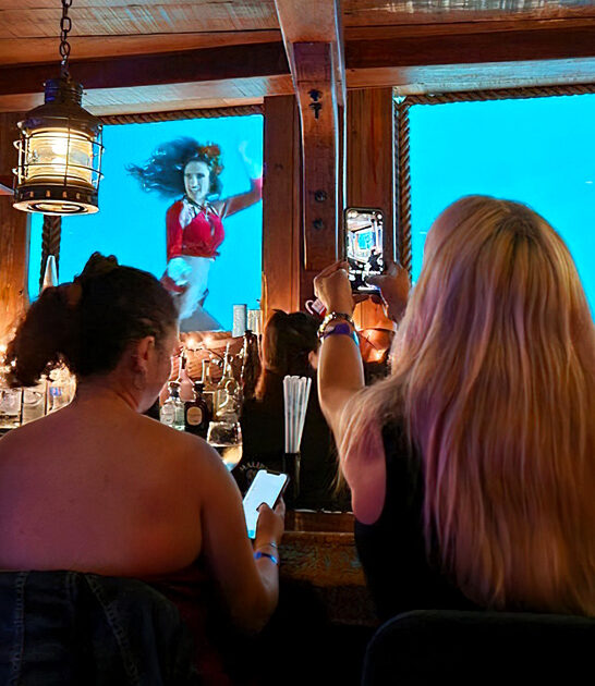 magical aquarium restaurants florida ftr