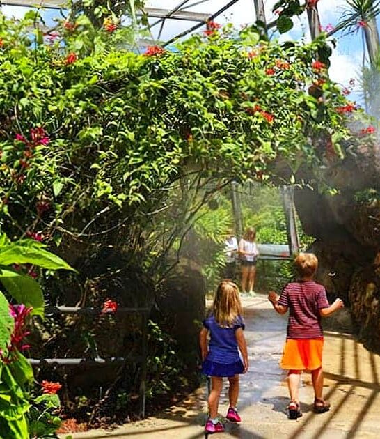 magical butterfly gardens florida ftr