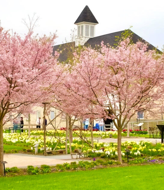magical fairy trail michigan ftr