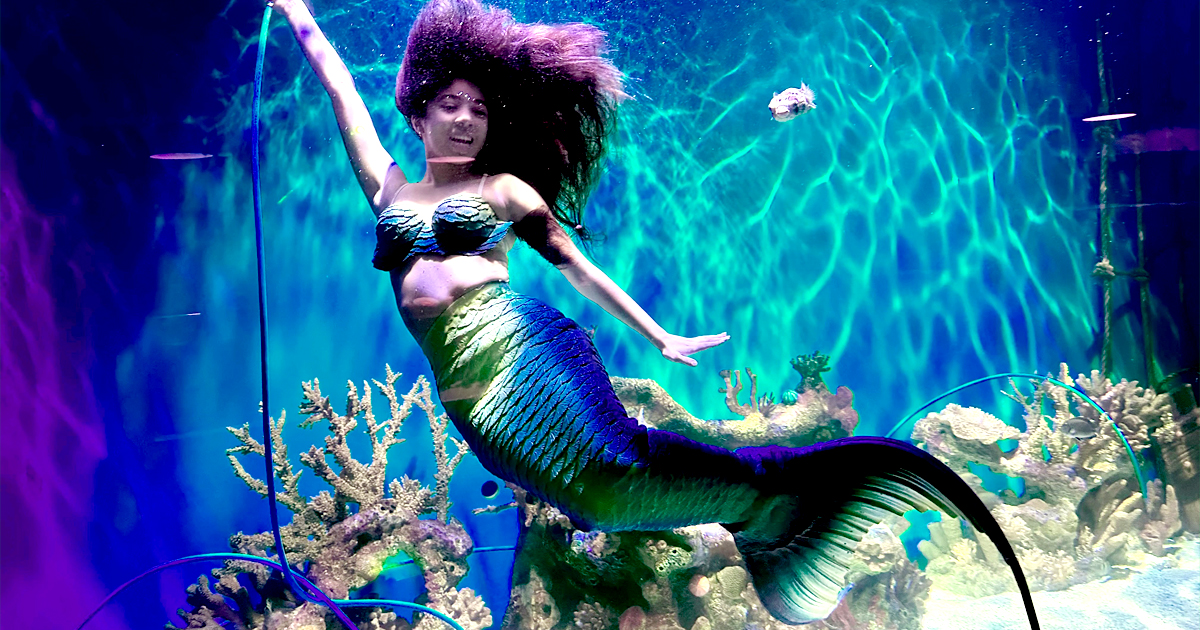 magical mermaid aquarium florida ftr