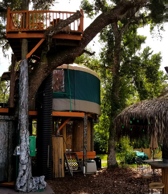 magical treehouse florida ftr