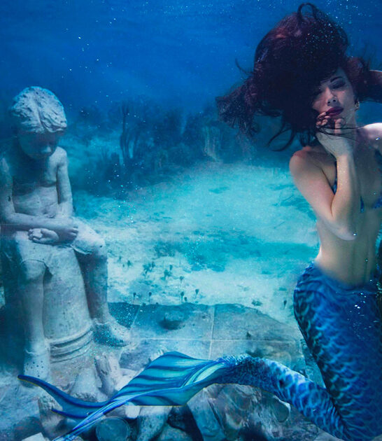 marvelous mermaid show florida ftr
