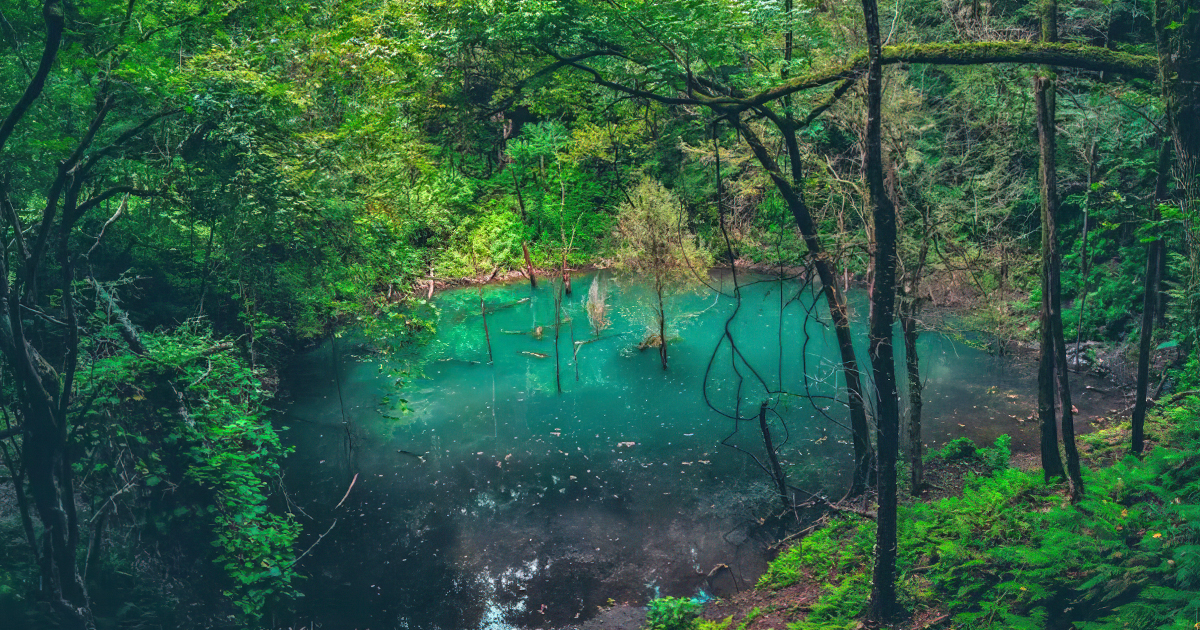 massive enigmatic sinkhole florida ftr