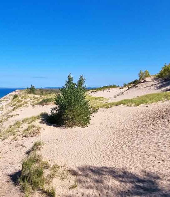 massive park michigan ftr