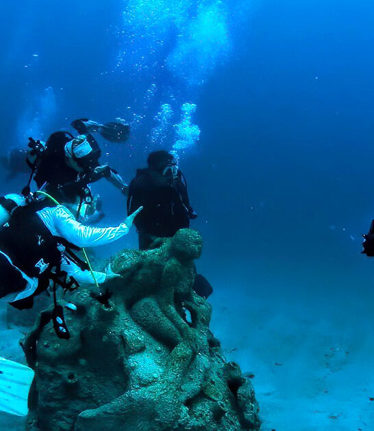 mermaid underwater gallery florida ftr
