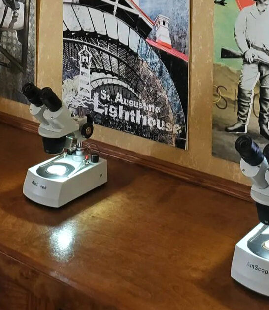 micro art gallery florida ftr