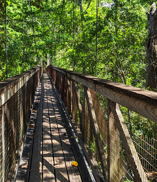mysterious park florida ftr