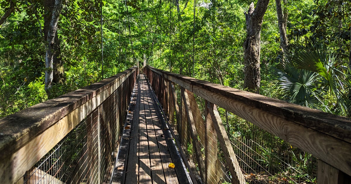 Florida’s Ravine Gardens State Park Is So Mysterious, You Might Think ...