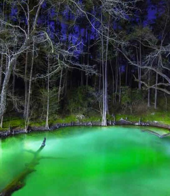 mysterious sinkholes florida ftr