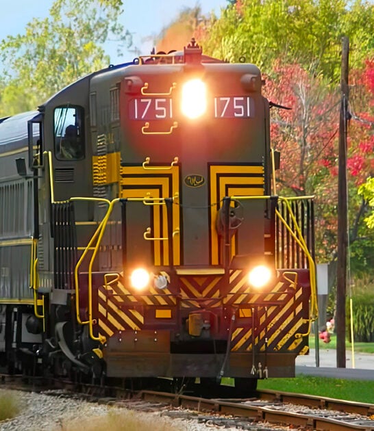 mystery train dinner michigan ftr