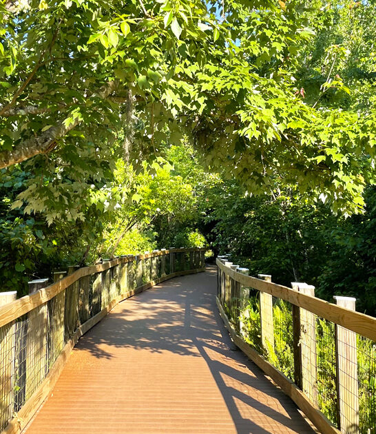 oakland nature preserve florida ftr