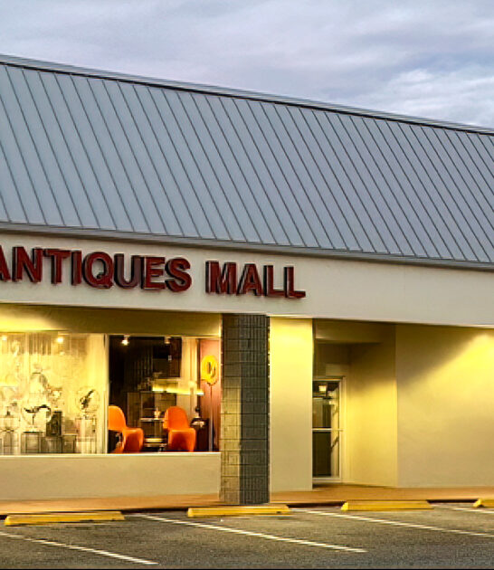 orange tree antique florida ftr