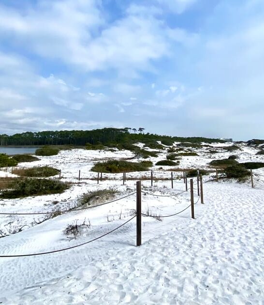 otherworldly beach florida ftr