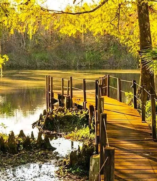 out way park florida ftr