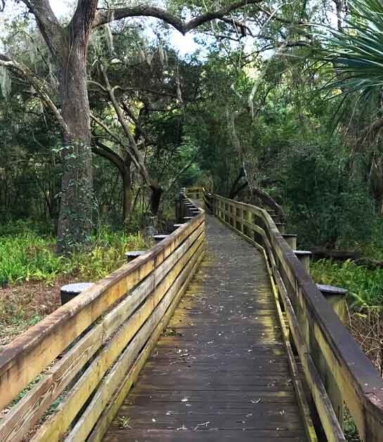 picturesque nature park florida ftr